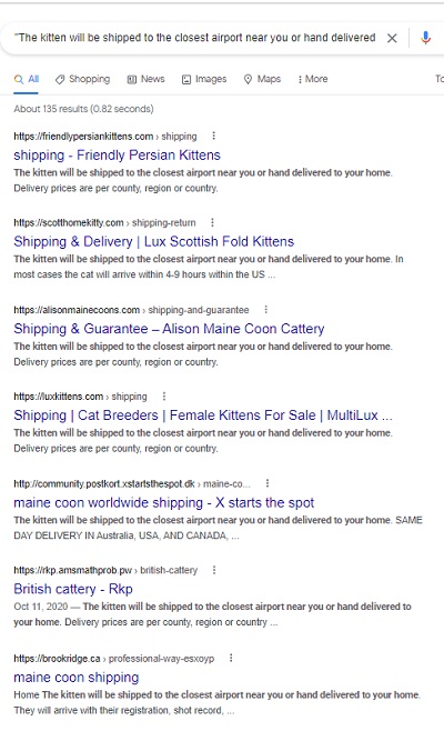 Avoid Maine Coon Pet Scams – Maine Coon Adventures